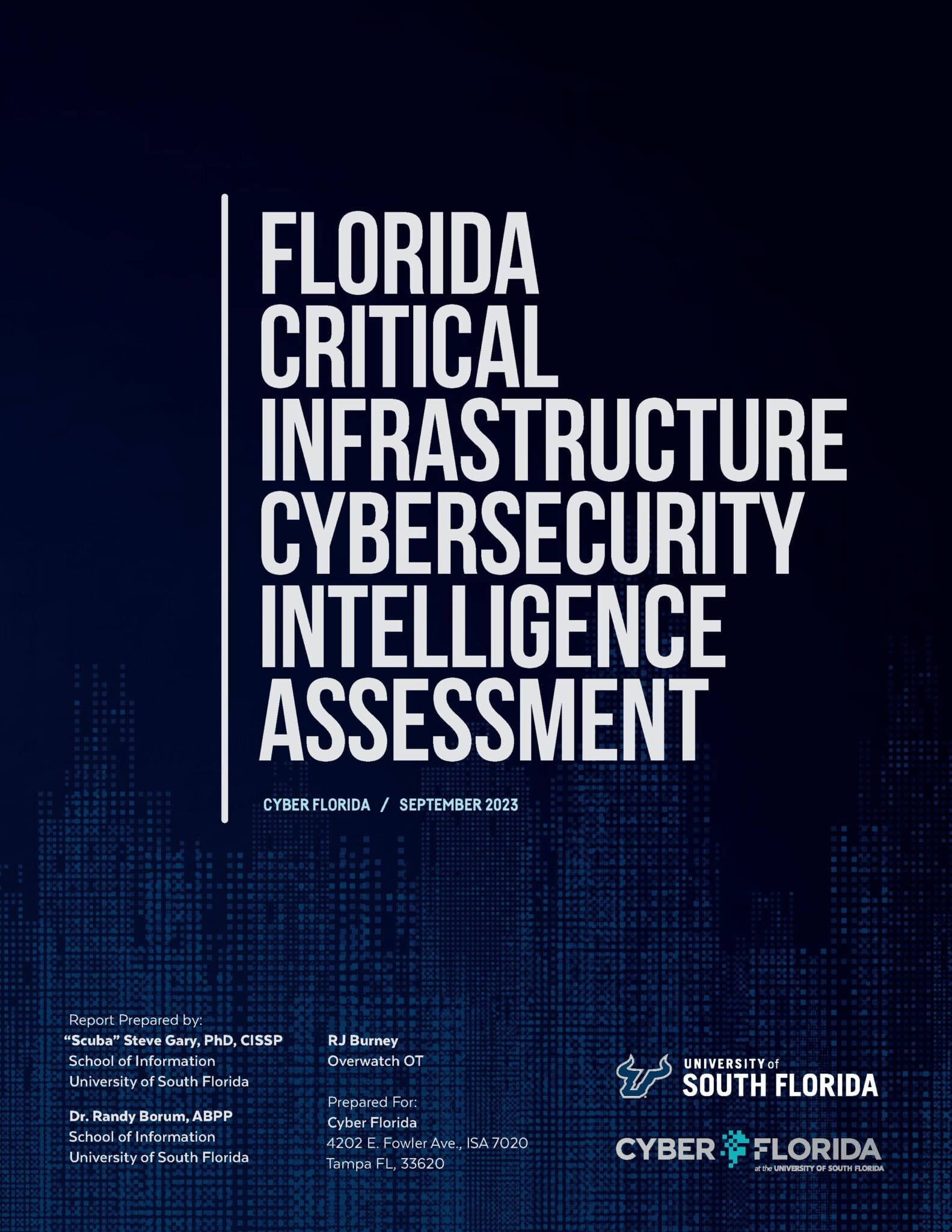Florida Critical Infrastructure Cybersecurity Intelligence Assessment ...
